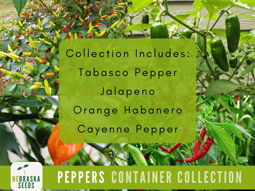 Container Peppers Seed Collection- Heirloom Chile and Pepper Seeds ...