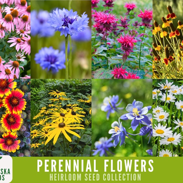 Perennial Seeds - Etsy