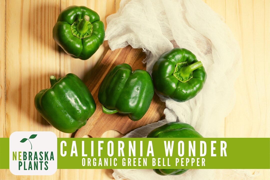 Organic Green Bell Pepper Seeds California Wonder Heirloom Pepper Seeds ...