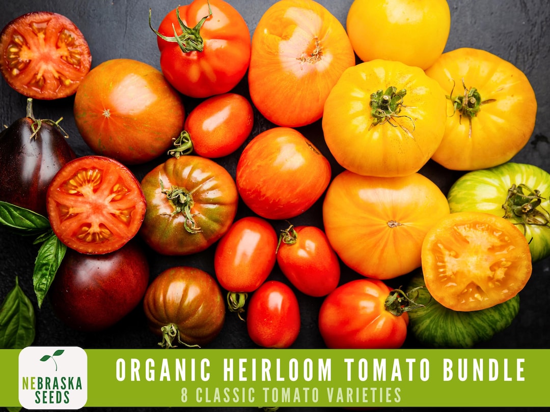 Organic Tomato Seed Collection – 8 Classic Heirloom Garden Tomatoes! - Etsy