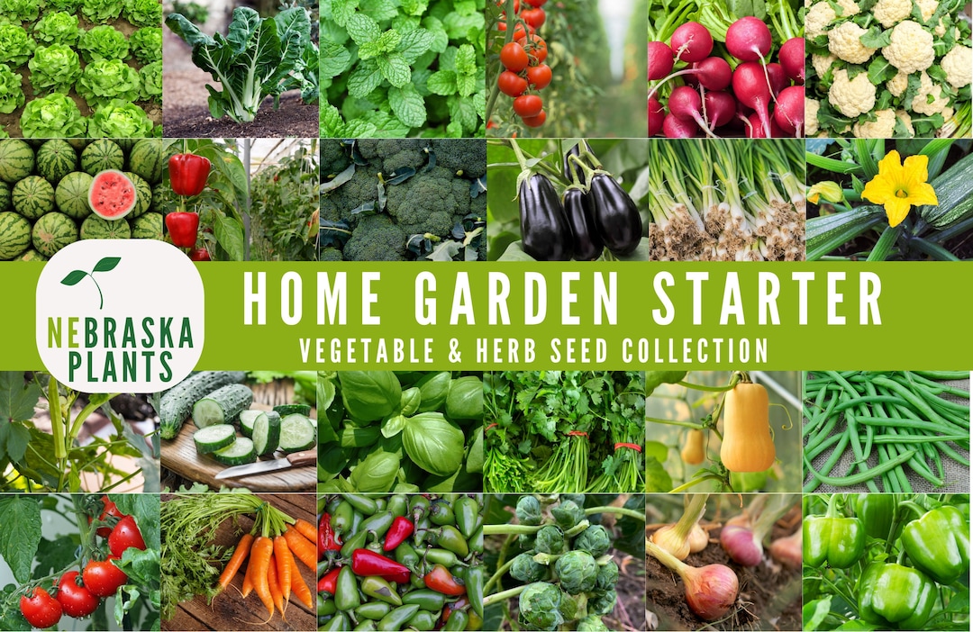 Customizable Garden Starter Seed Kit Vegetable and Herb Garden Seeds ...