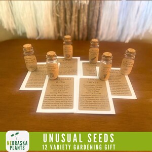Unusual Seeds Gardening Gift Collection - Rare and Unusual Heirloom ...