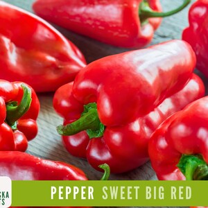 Red Bell Pepper Seeds - Sweet Big Red Bell Pepper Heirloom Seeds - Etsy