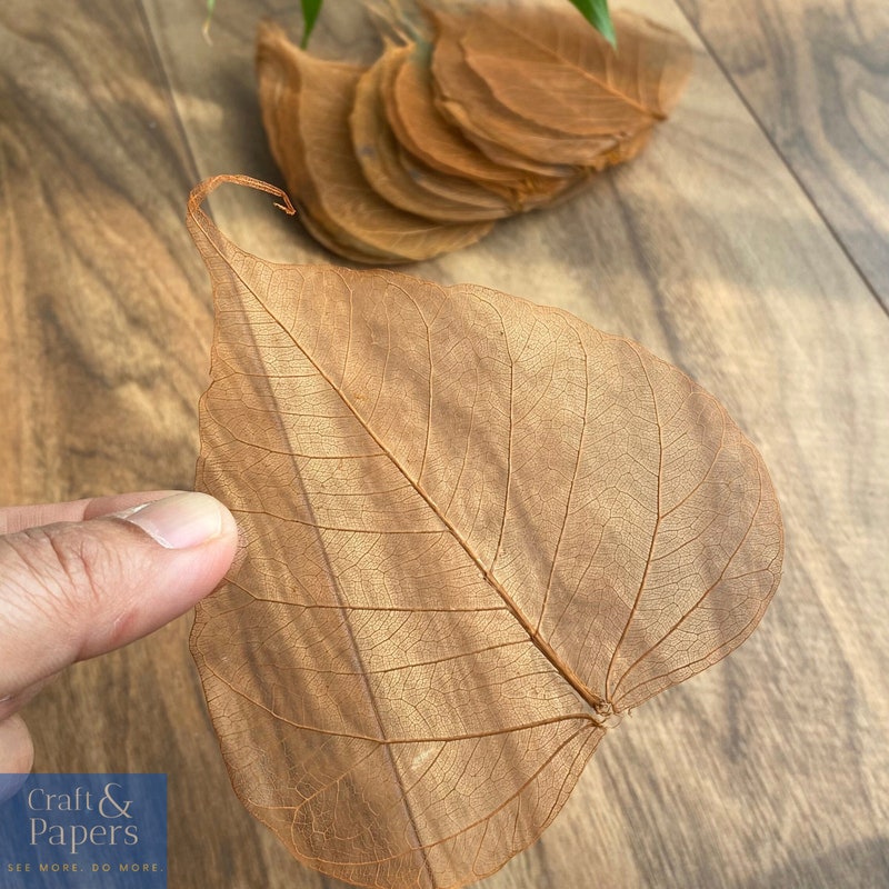 Skeleton Leaf Art - Etsy