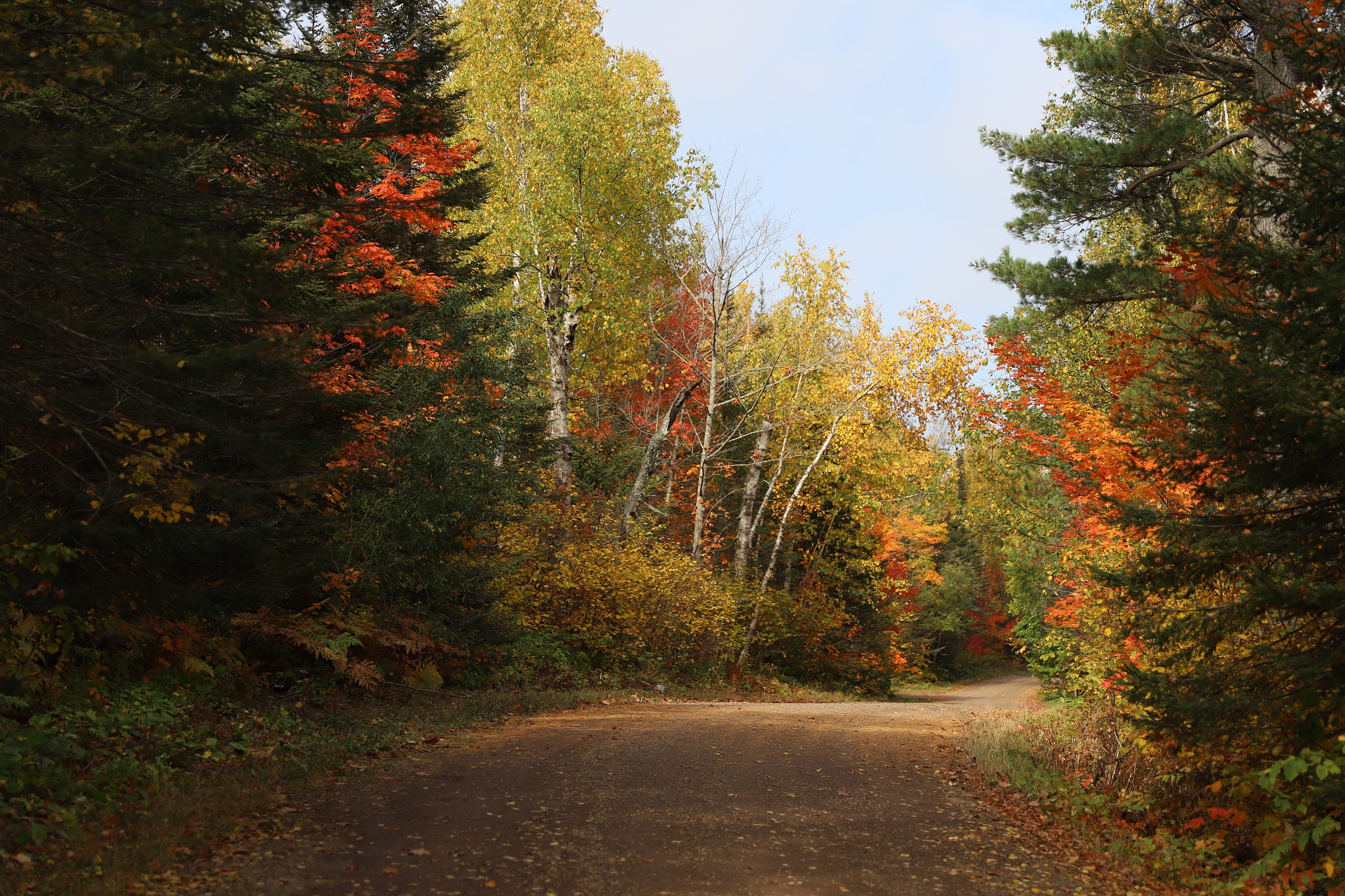 Autumn North Shore Minnesota Photography | Minnesota | Midwest Travel ...