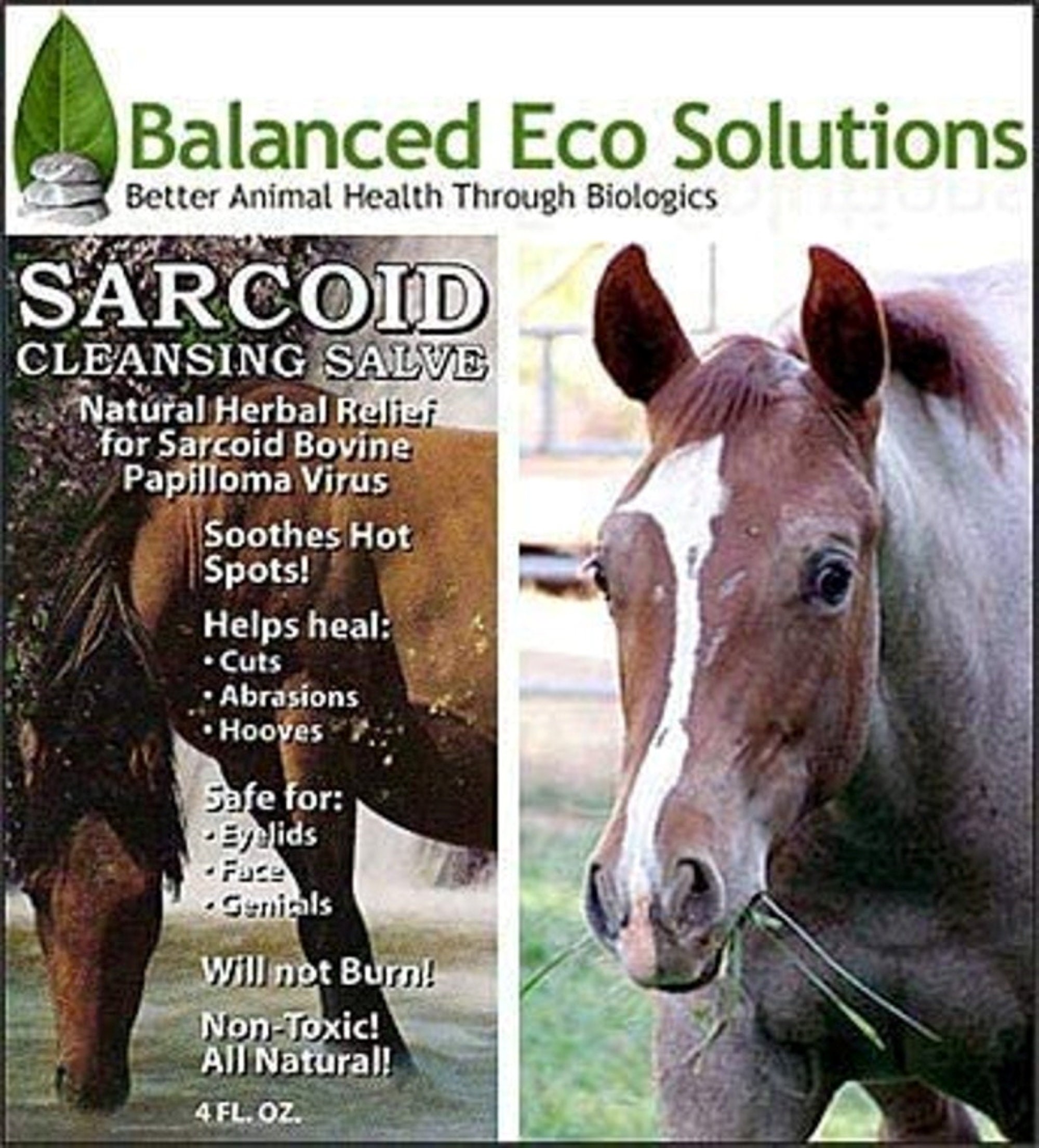 Sarcoid-paste for Equine Sarcoids in Horses & Livestock 2oz - Etsy Sarcoid-paste for Equine Sarcoids in Horses & Livestock 2oz - Etsy