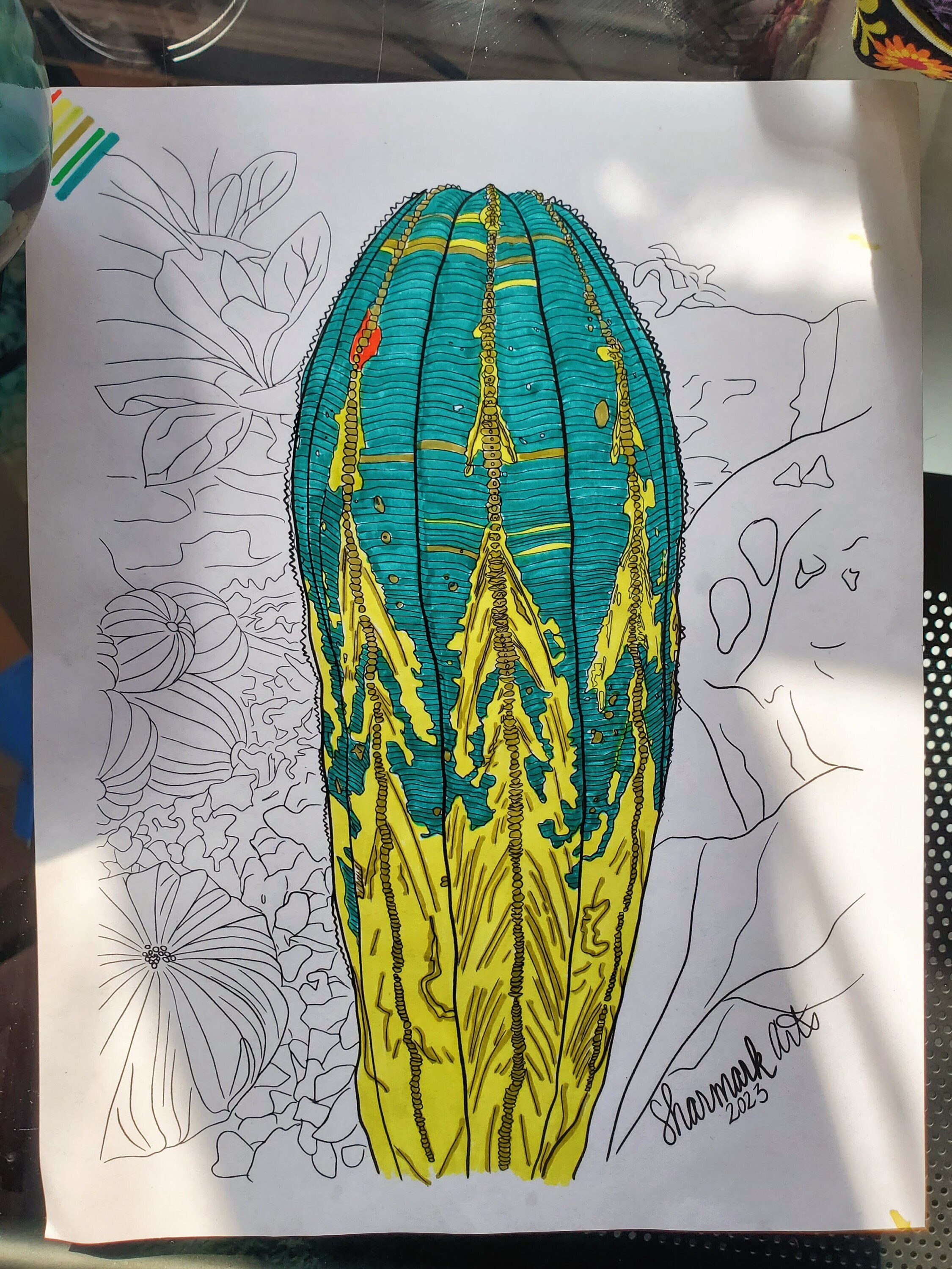 Cactus Hand Drawn Coloring Page *digital Download - Etsy