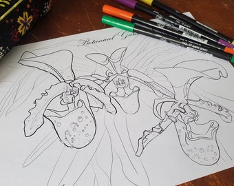 Pitcher Plant Hand Drawn Coloring Page *digital Download Only - Etsy