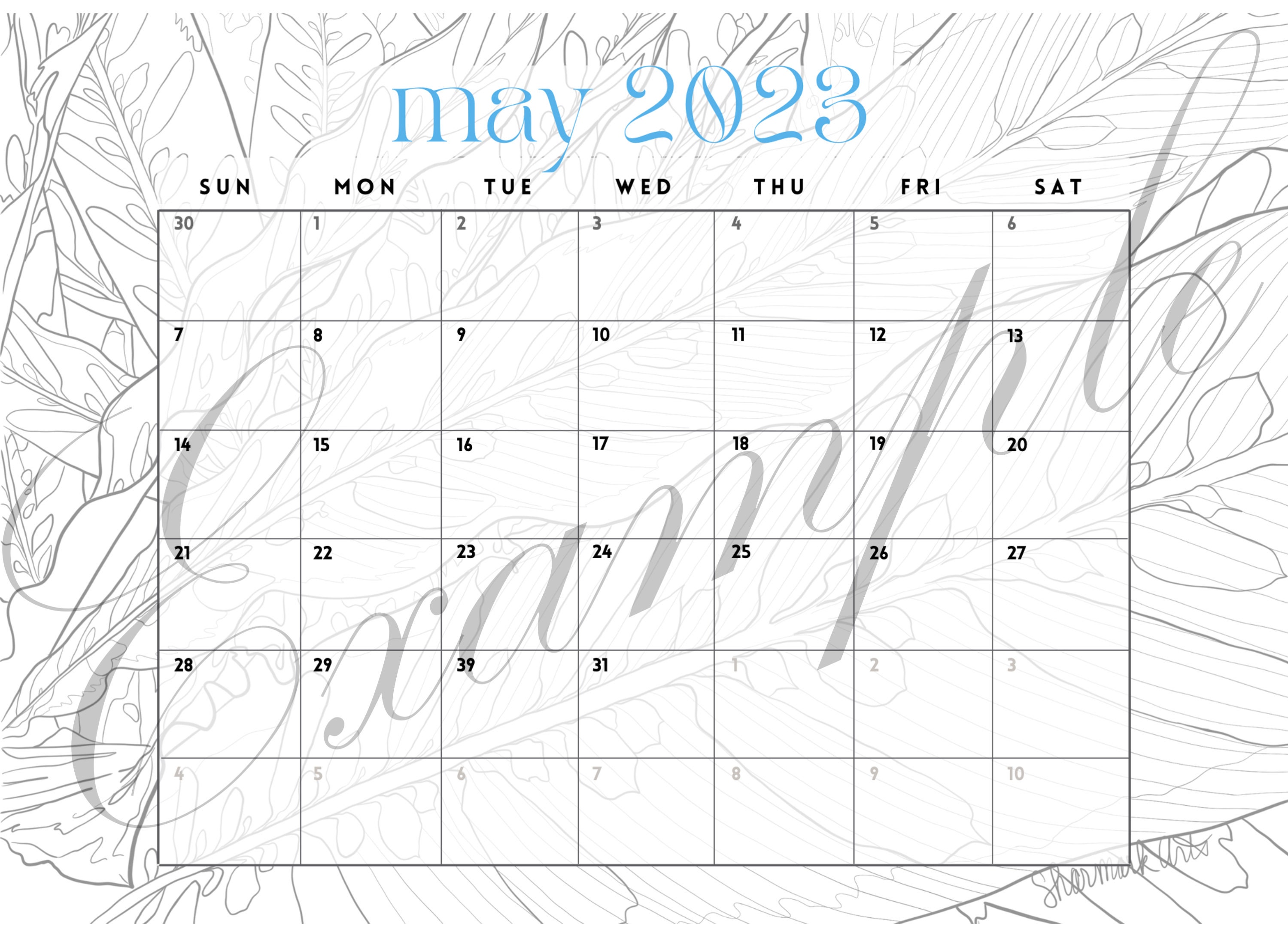 Botanical Garden Coloring Calendar 2023 Unique Hand Drawn Designs - Etsy