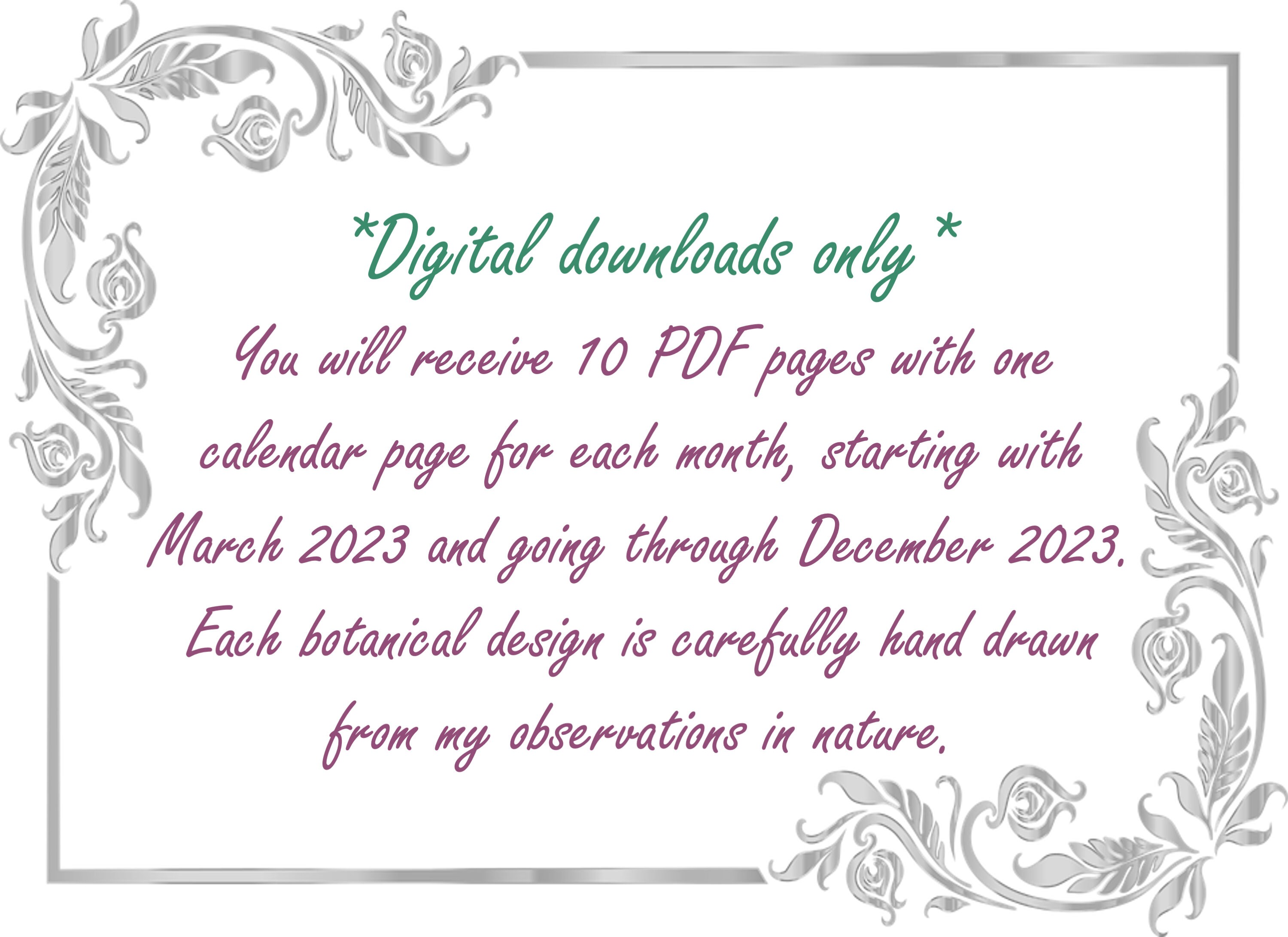 Botanical Garden Coloring Calendar 2023 Unique Hand Drawn Designs - Etsy