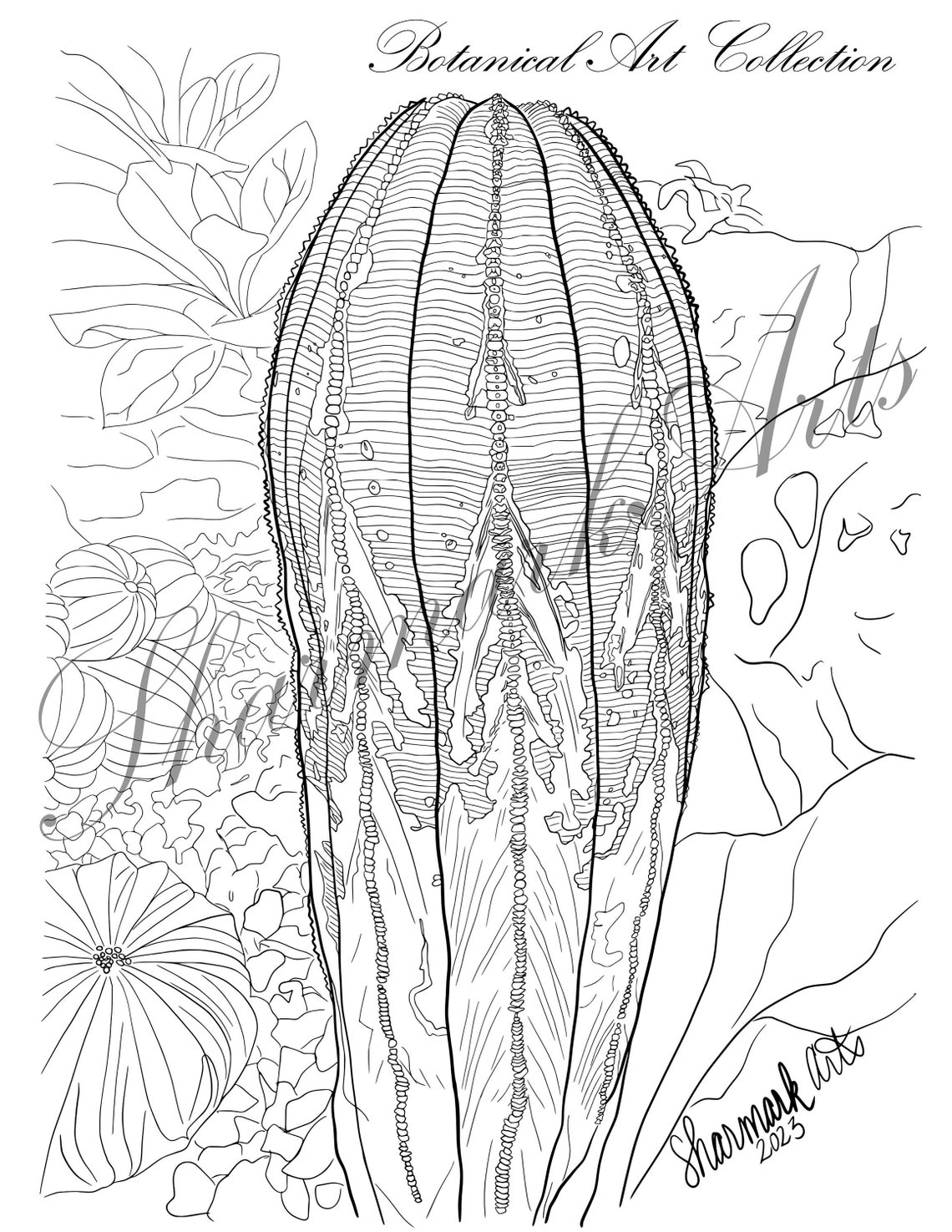 Cactus Hand Drawn Coloring Page *digital Download - Etsy