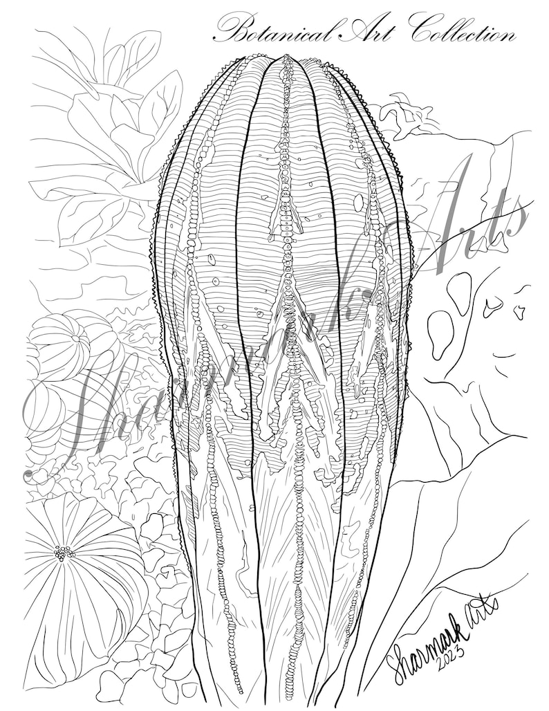 Cactus Hand Drawn Coloring Page *digital Download - Etsy