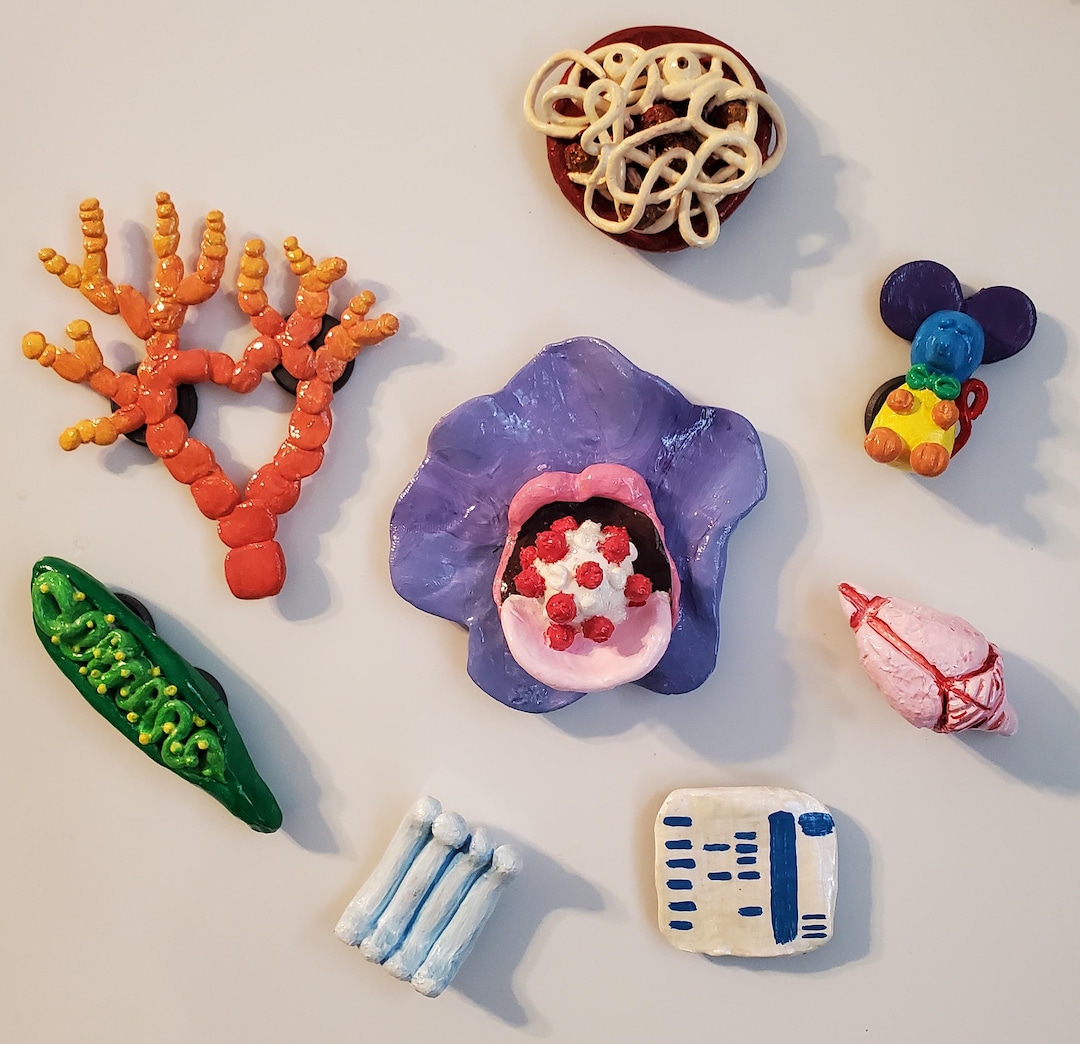 Science-themed Refrigerator Magnets - Etsy