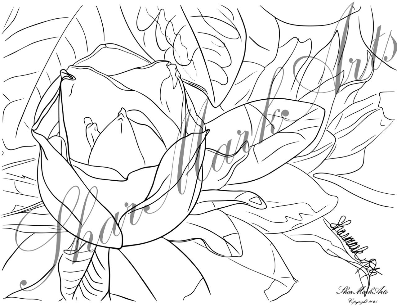 Magnolia Hand-drawn Coloring Page *digital Download Only - Etsy