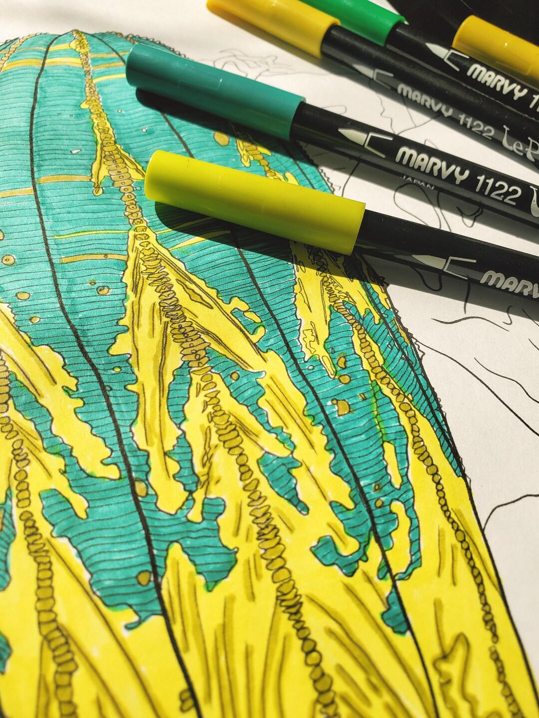 Cactus Hand Drawn Coloring Page *digital Download - Etsy