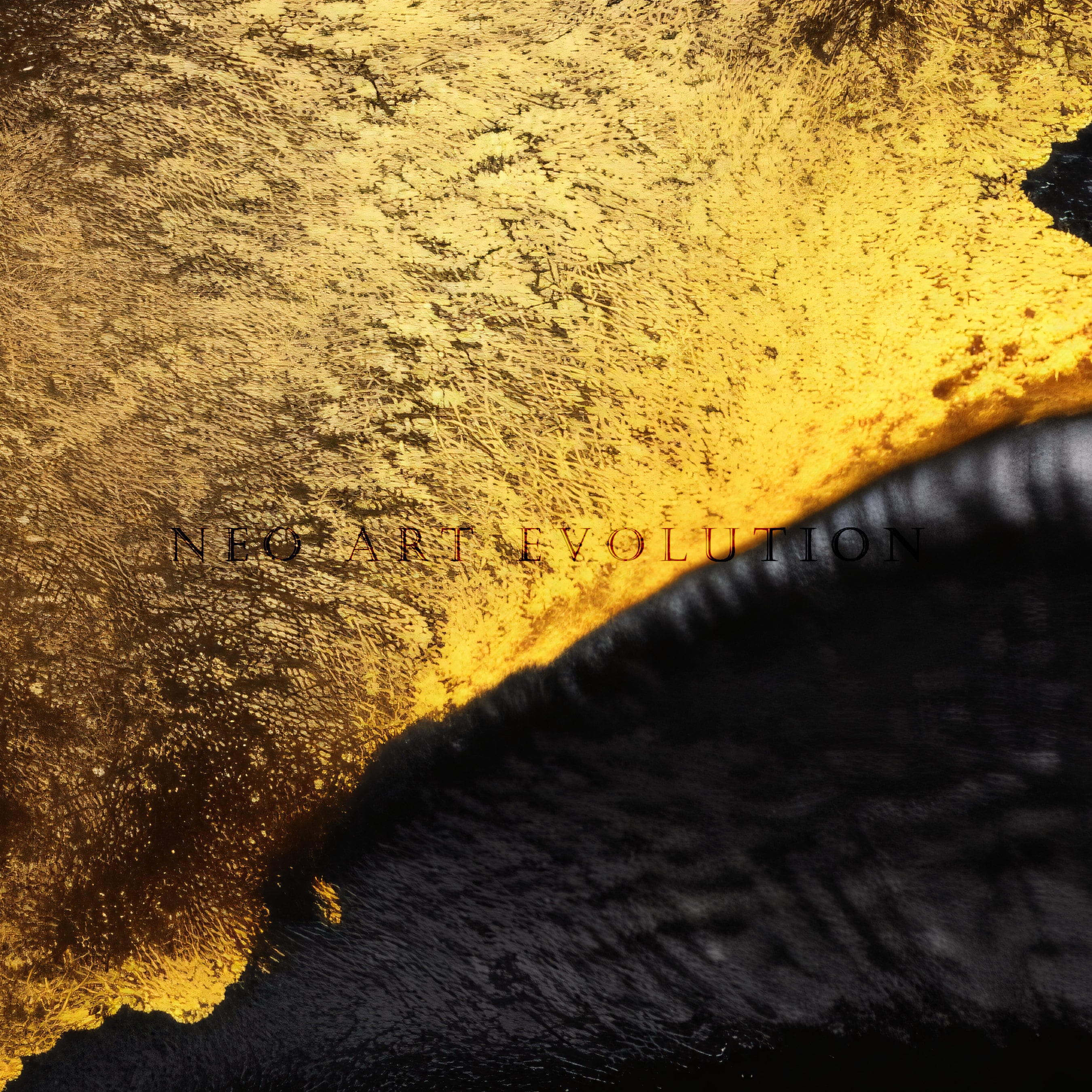 Black Gold Painted Face and Lips Modern Texture Art Luxury - Etsy