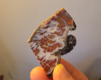 Wingate Pass Agate - Etsy