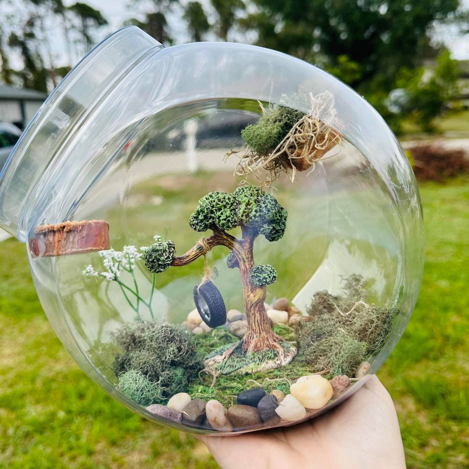 Circle of Life Enclosure - Etsy