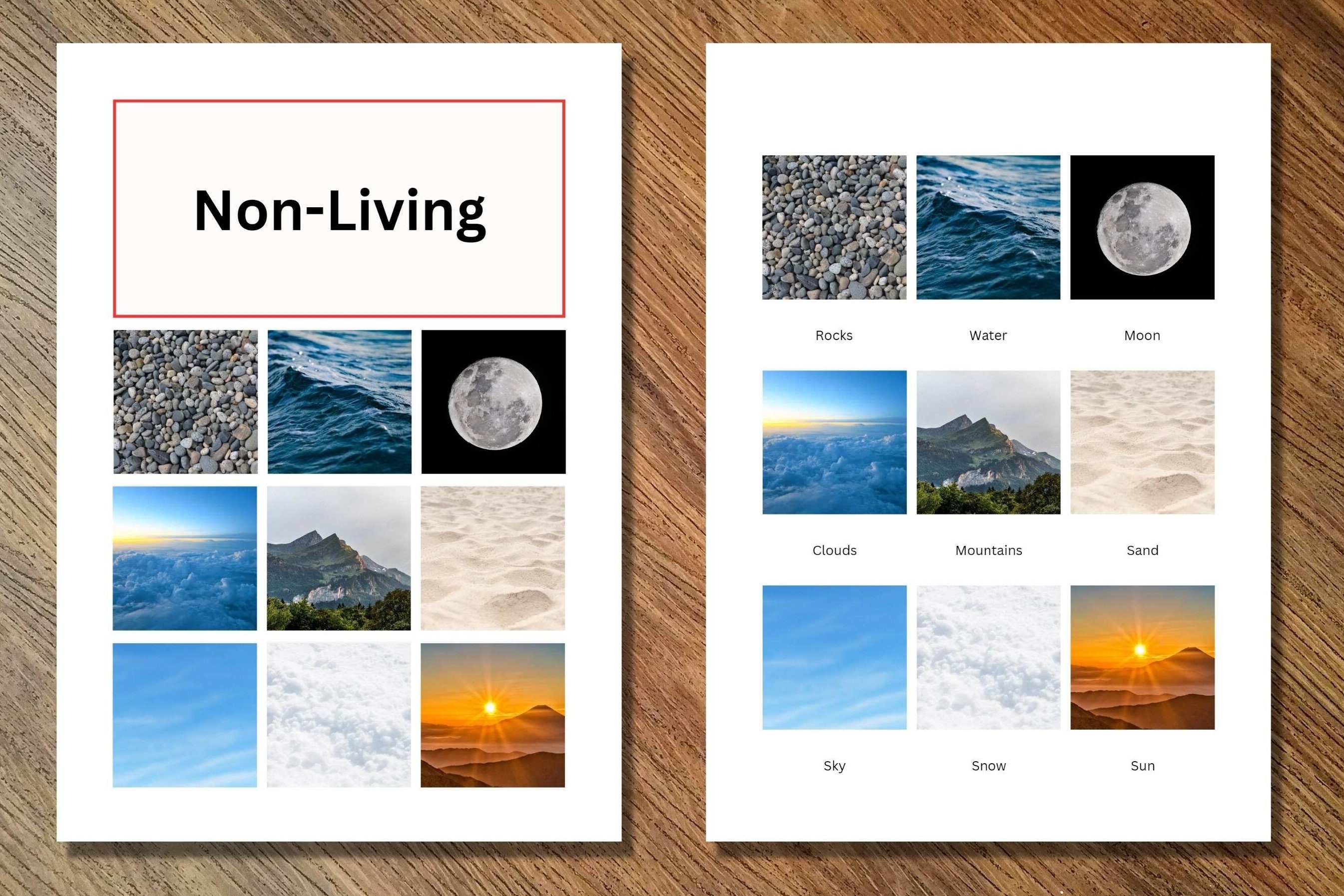 Living and Non-living Sorting Cards, Montessori Sorting Sheet ...