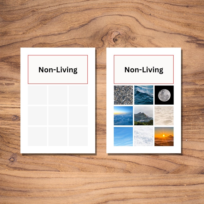 Living and Non-living Sorting Cards, Montessori Sorting Sheet ...