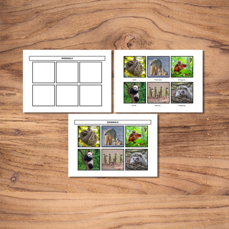 Classes of Vertebrates Sorting Cards and Control Chart, Zoology ...