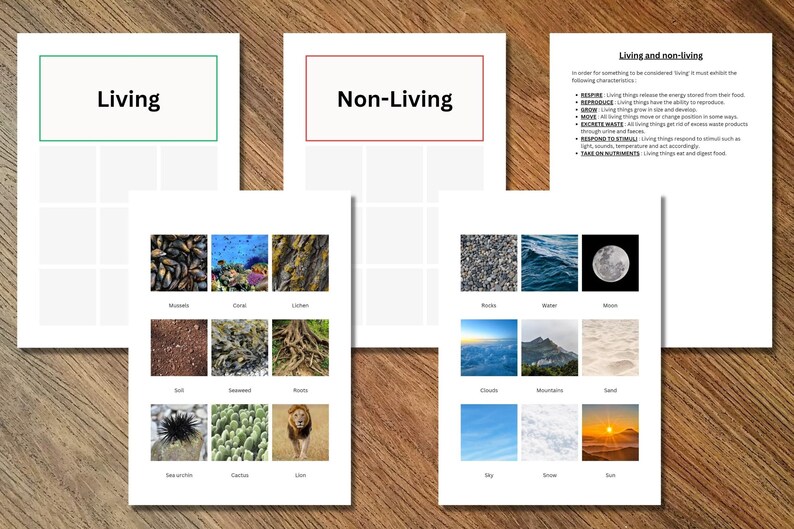 Living and Non-living Sorting Cards, Montessori Sorting Sheet ...