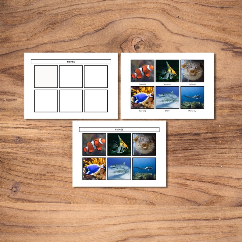 Classes of Vertebrates Sorting Cards and Control Chart, Zoology ...