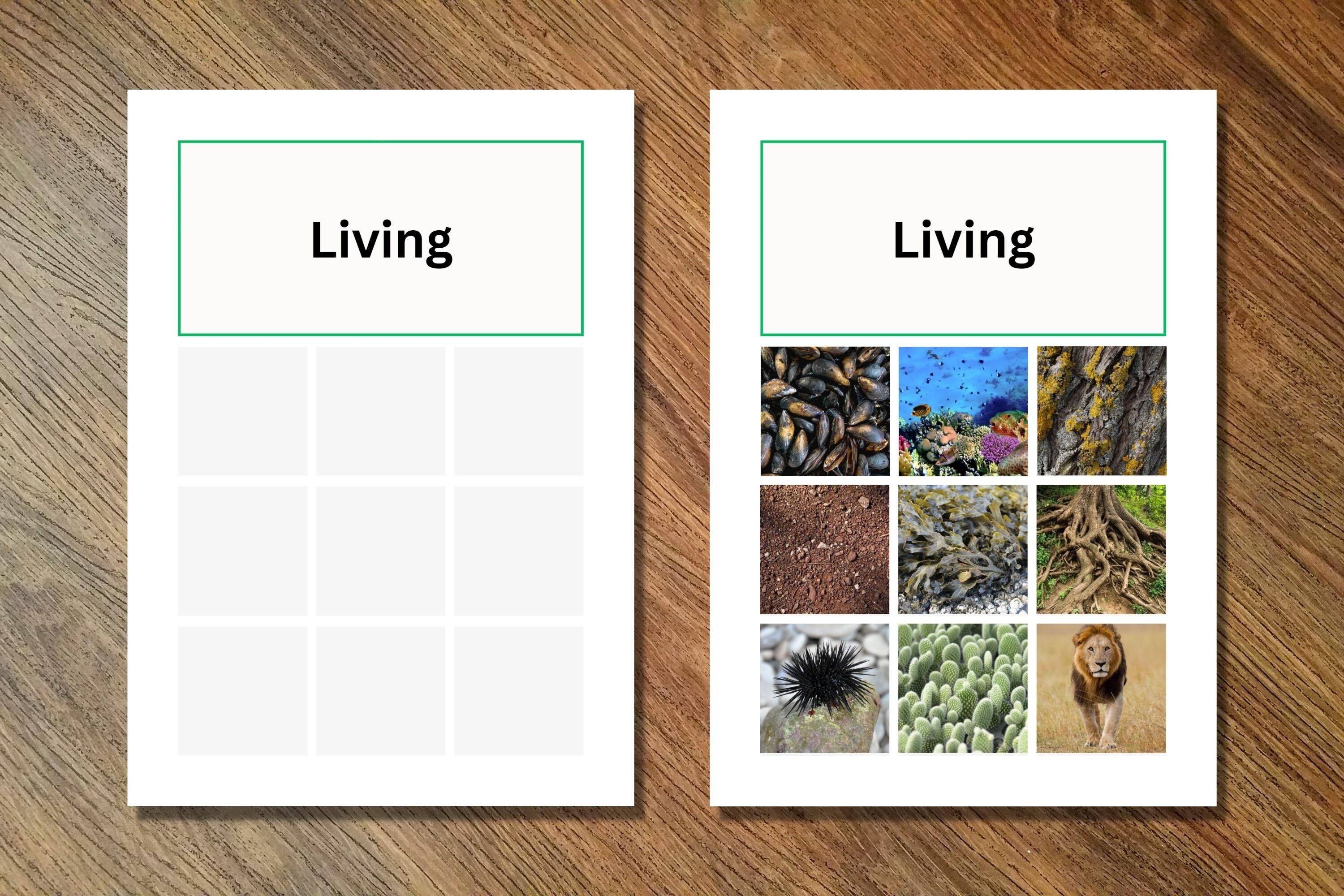 Living and Non-living Sorting Cards Montessori Sorting Sheet - Etsy Canada