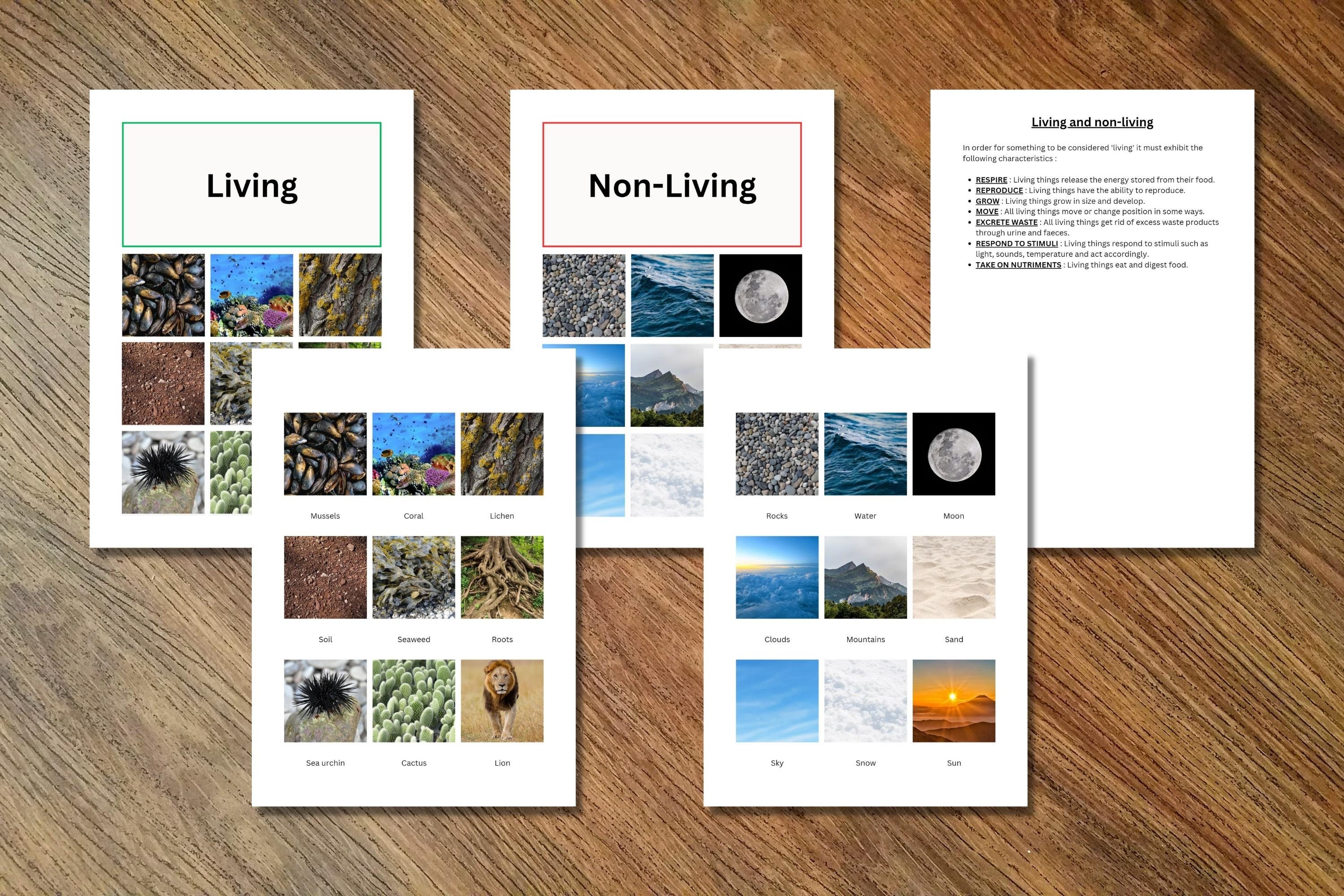 Living and Non-living Sorting Cards Montessori Sorting Sheet - Etsy Canada