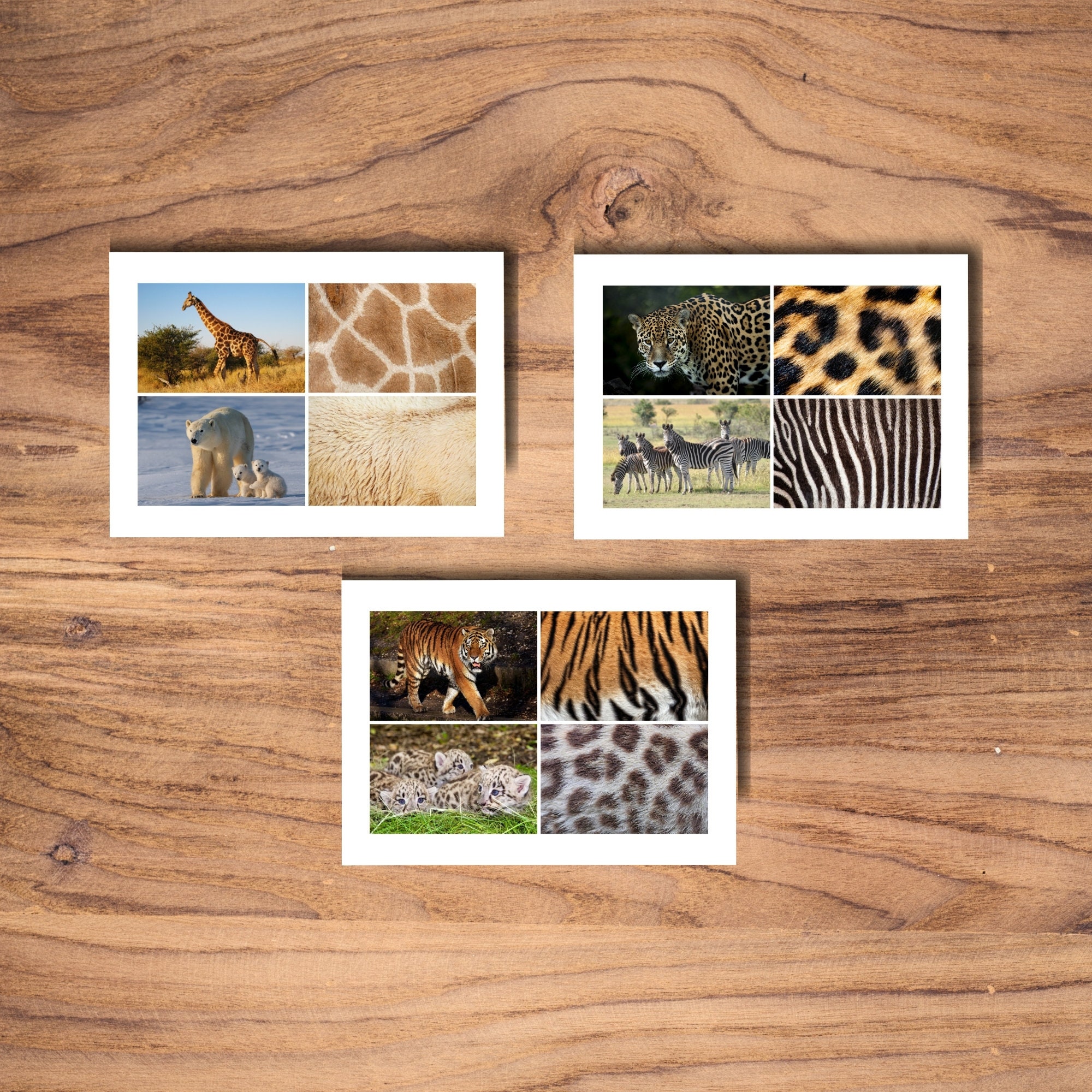 Animal Matching Game, Learning Animals, Printable Animal Activity ...