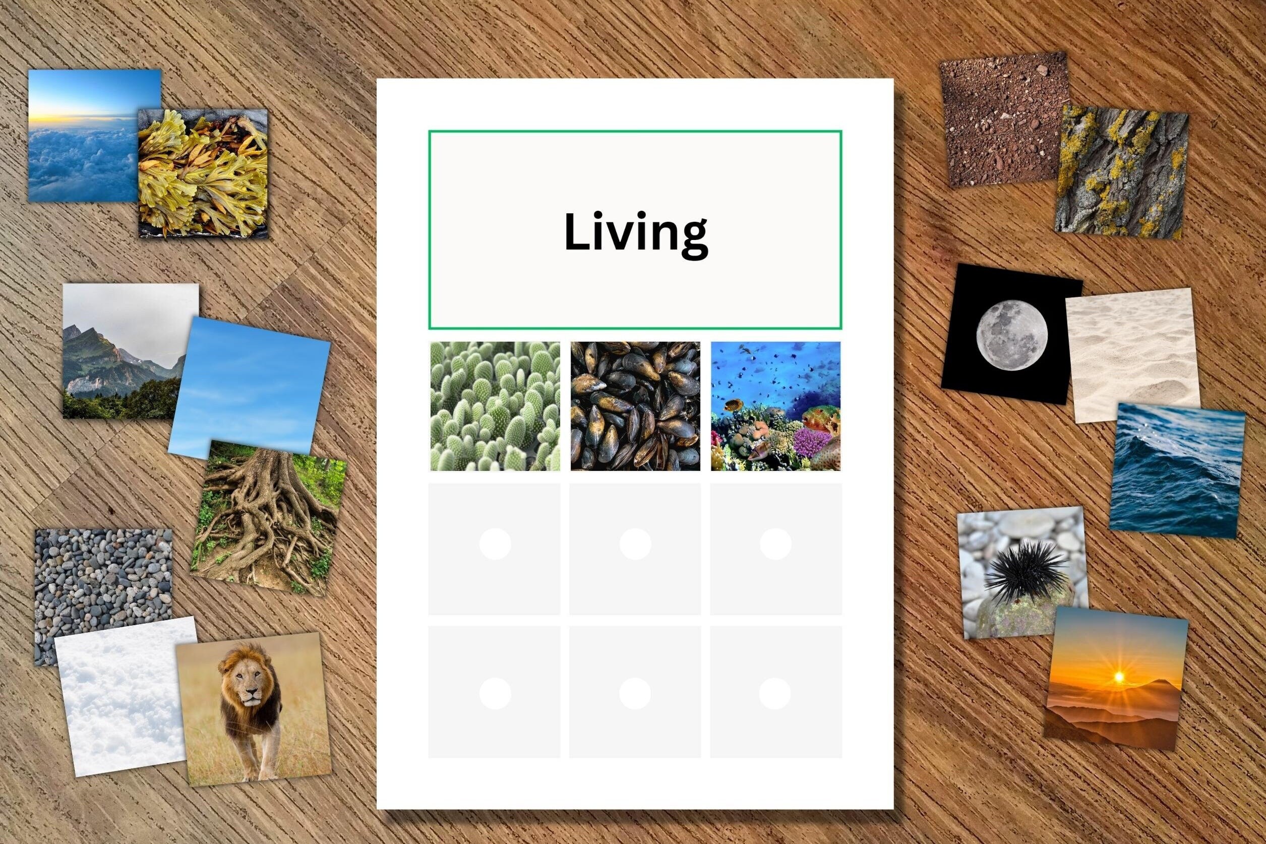 Living and Non-living Sorting Cards, Montessori Sorting Sheet ...
