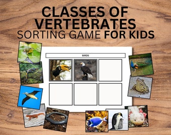 Classes of Vertebrates Sorting Cards & Control Chart Zoology Printable ...