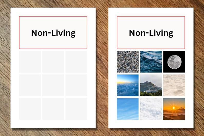 Living and Non-living Sorting Cards, Montessori Sorting Sheet ...
