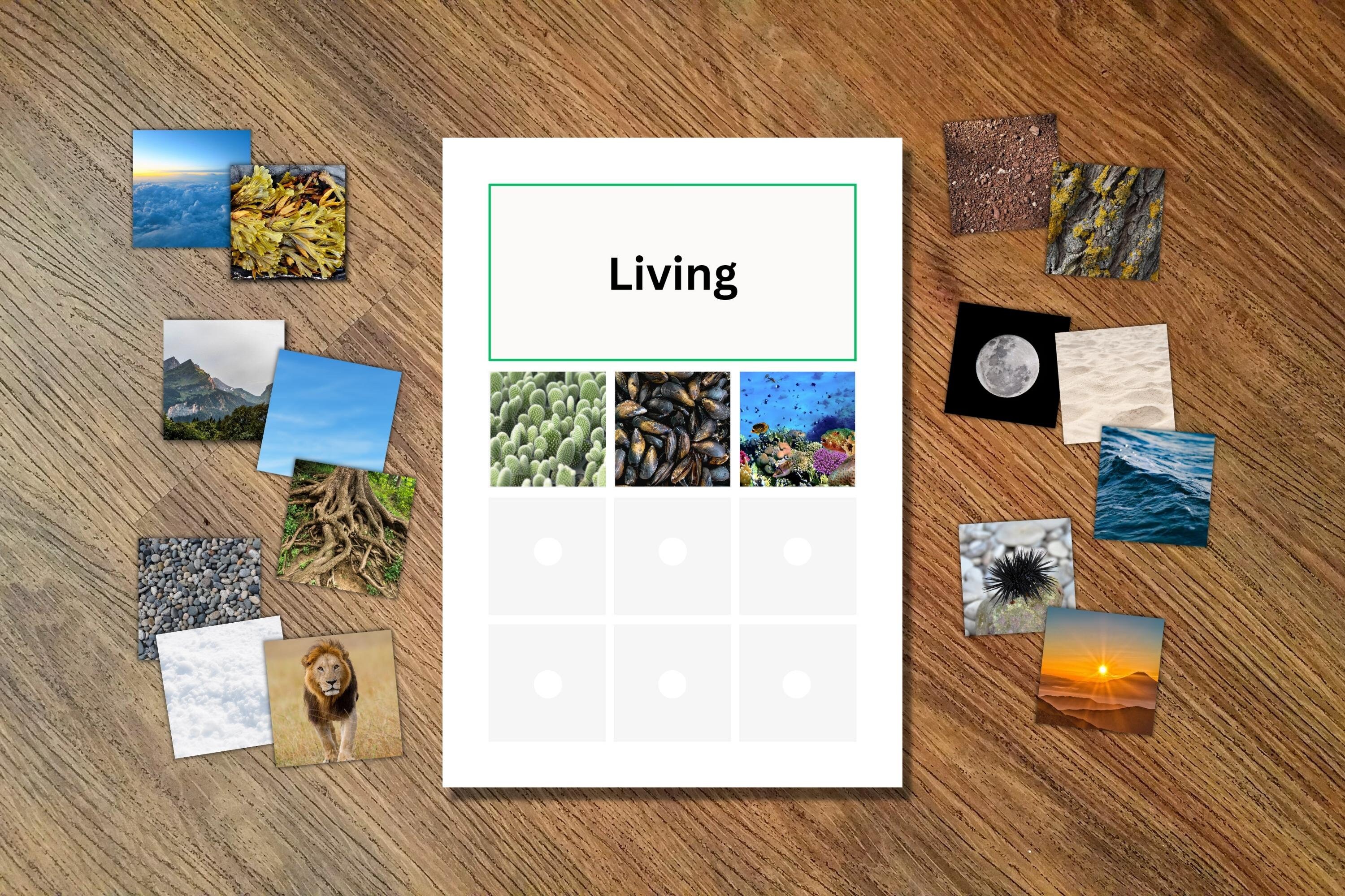 Living and Non-living Sorting Cards Montessori Sorting Sheet - Etsy Canada