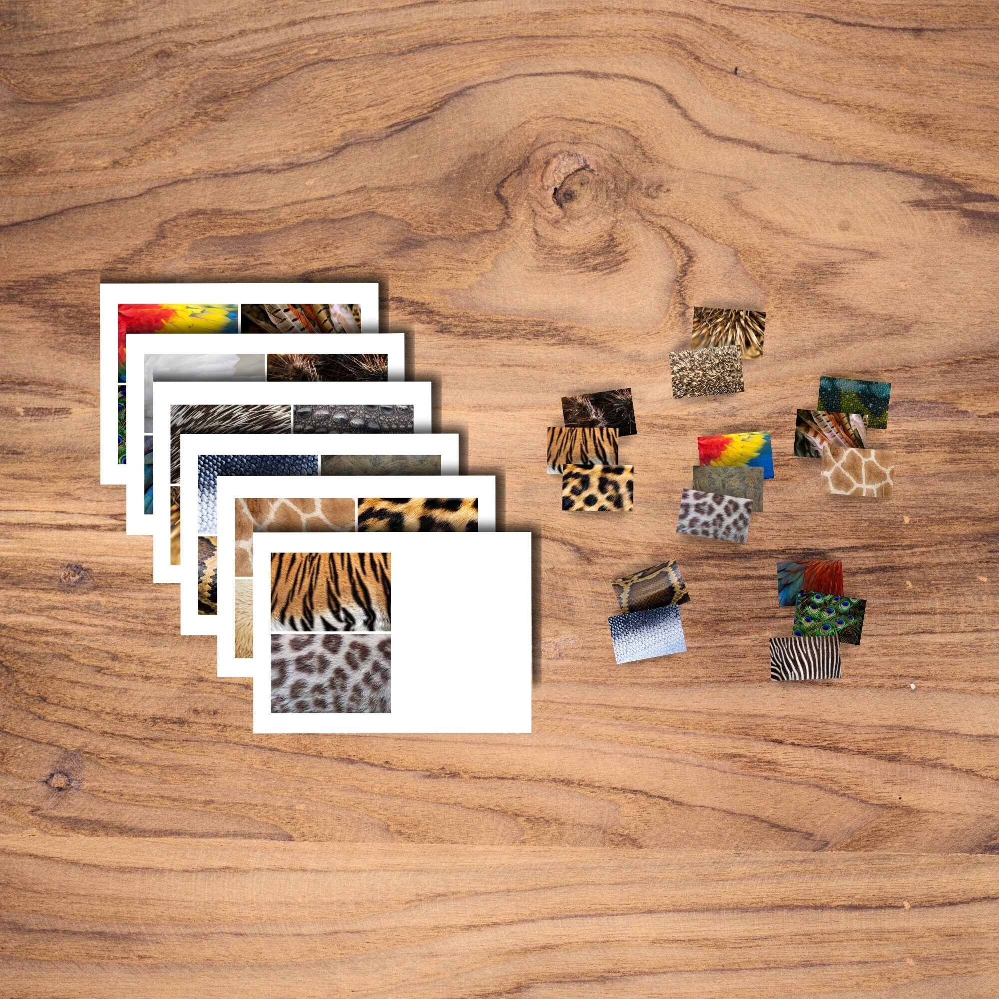 Animal Matching Game, Learning Animals, Printable Animal Activity ...