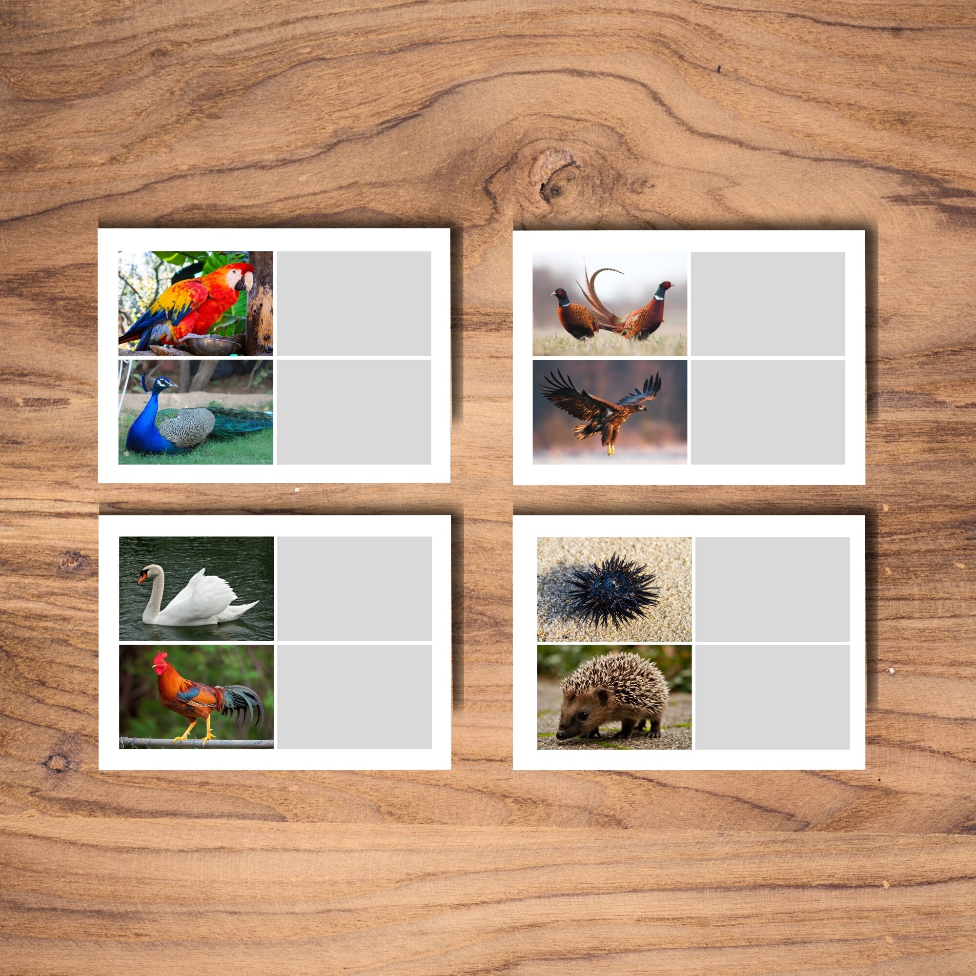 Animal Matching Game, Learning Animals, Printable Animal Activity ...