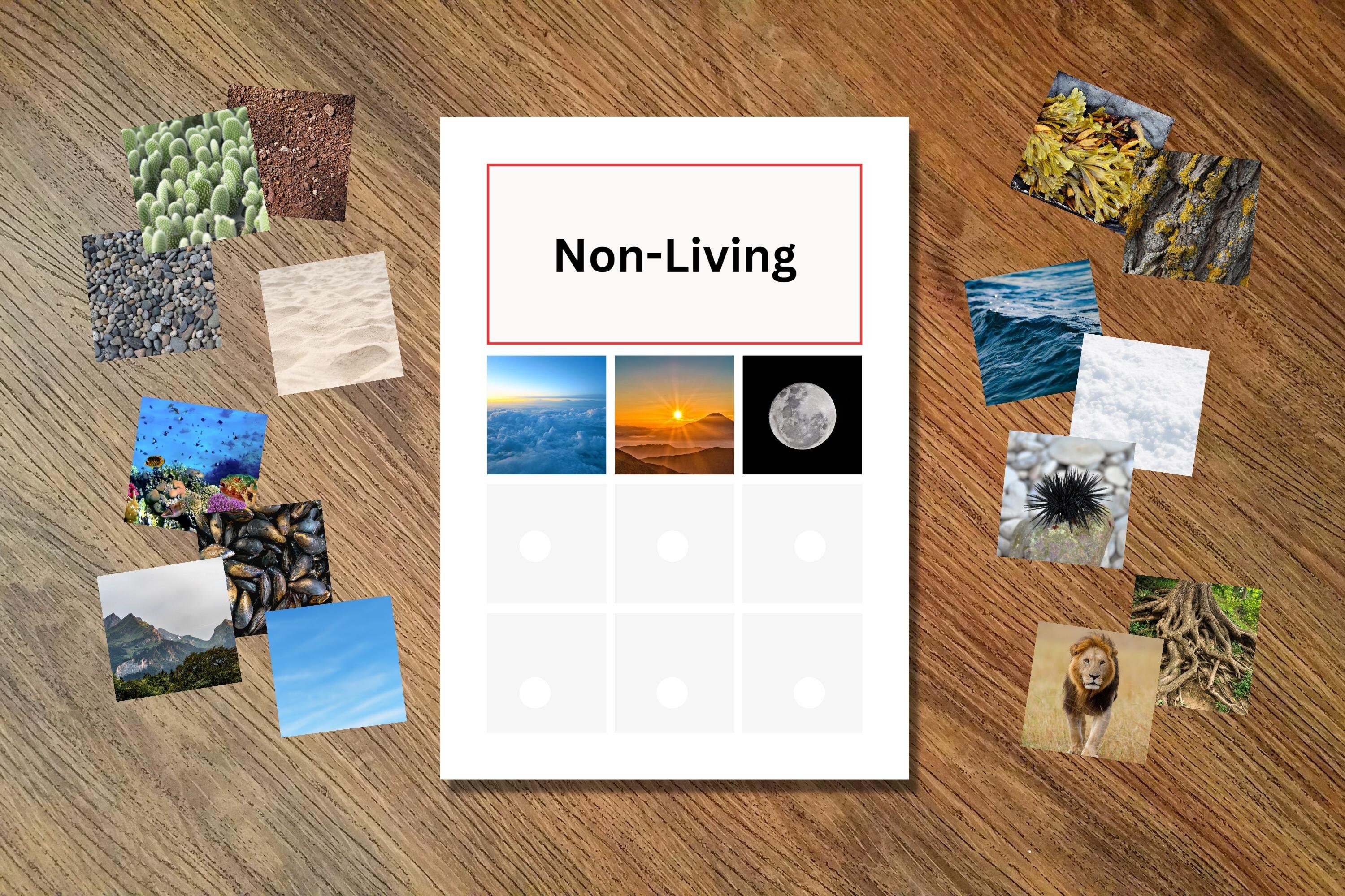 Living and Non-living Sorting Cards Montessori Sorting Sheet - Etsy Canada