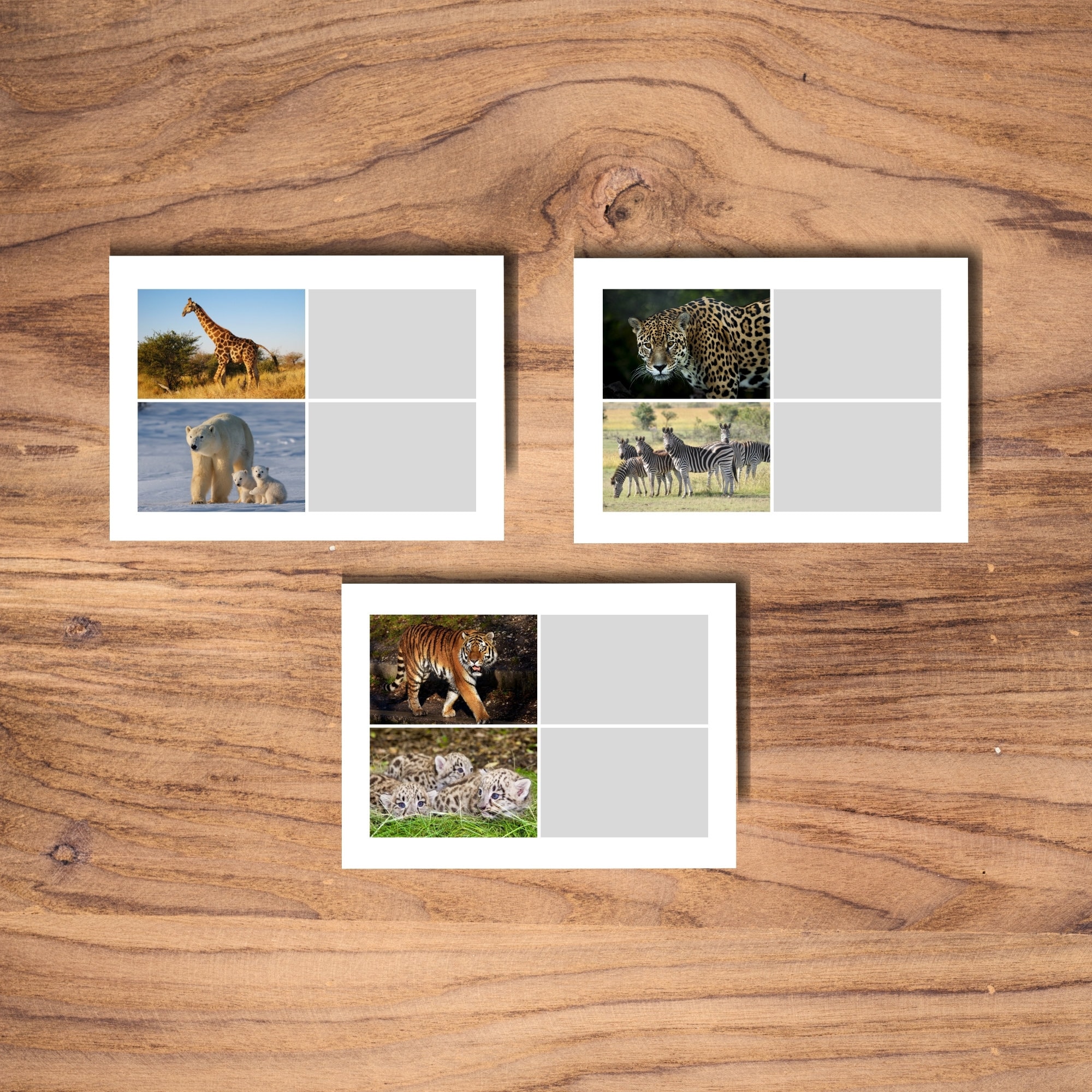 Animal Matching Game, Learning Animals, Printable Animal Activity ...