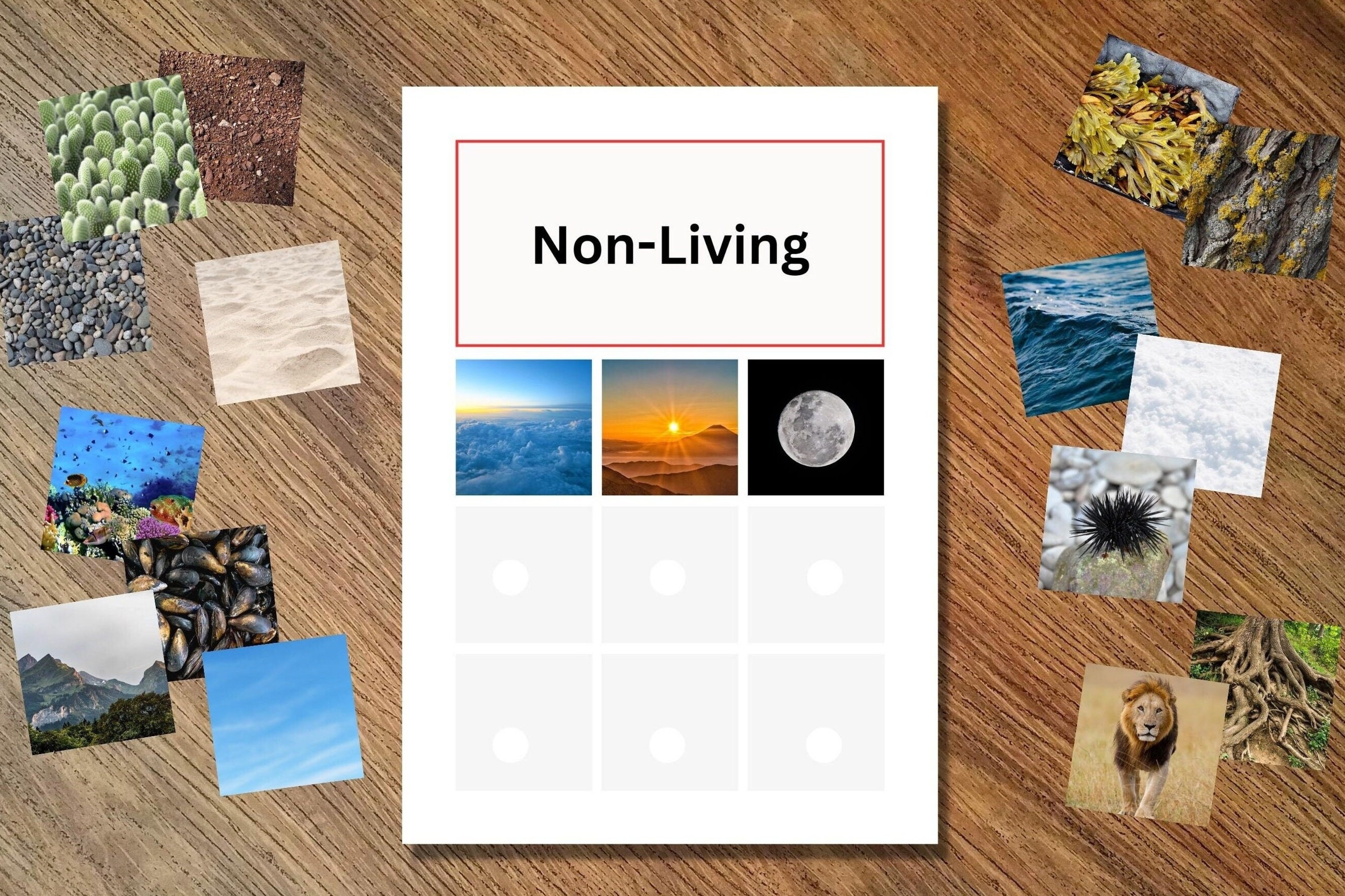 Living and Non-living Sorting Cards, Montessori Sorting Sheet ...