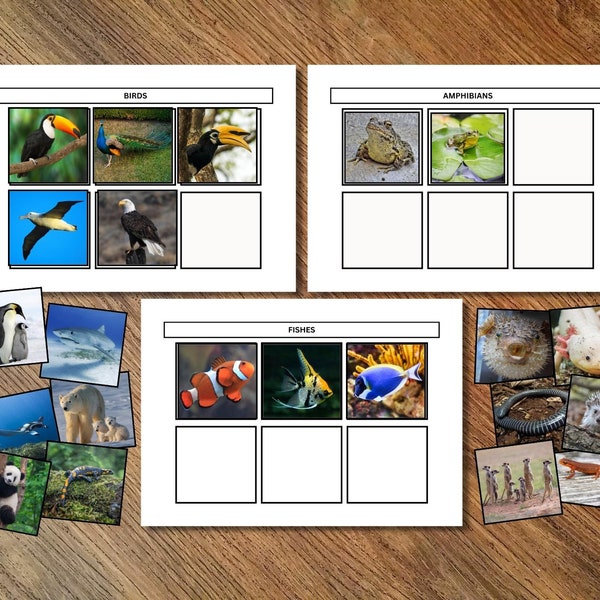 Animal Classification Chart - Etsy