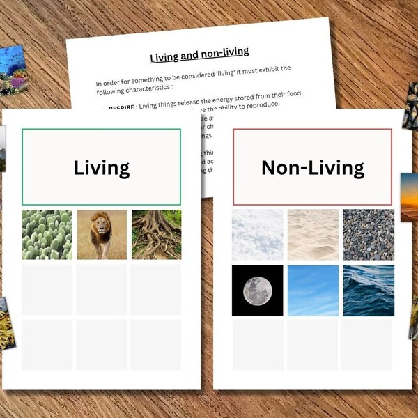 Montessori Materials - Etsy