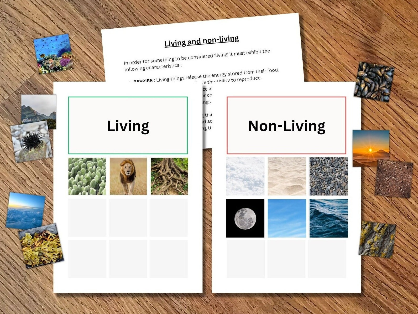 Living and Non-living Sorting Cards, Montessori Sorting Sheet ...