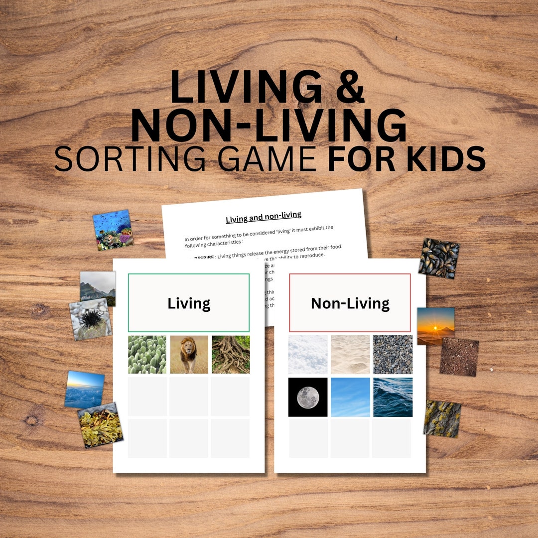 Living and Non-living Sorting Cards, Montessori Sorting Sheet ...