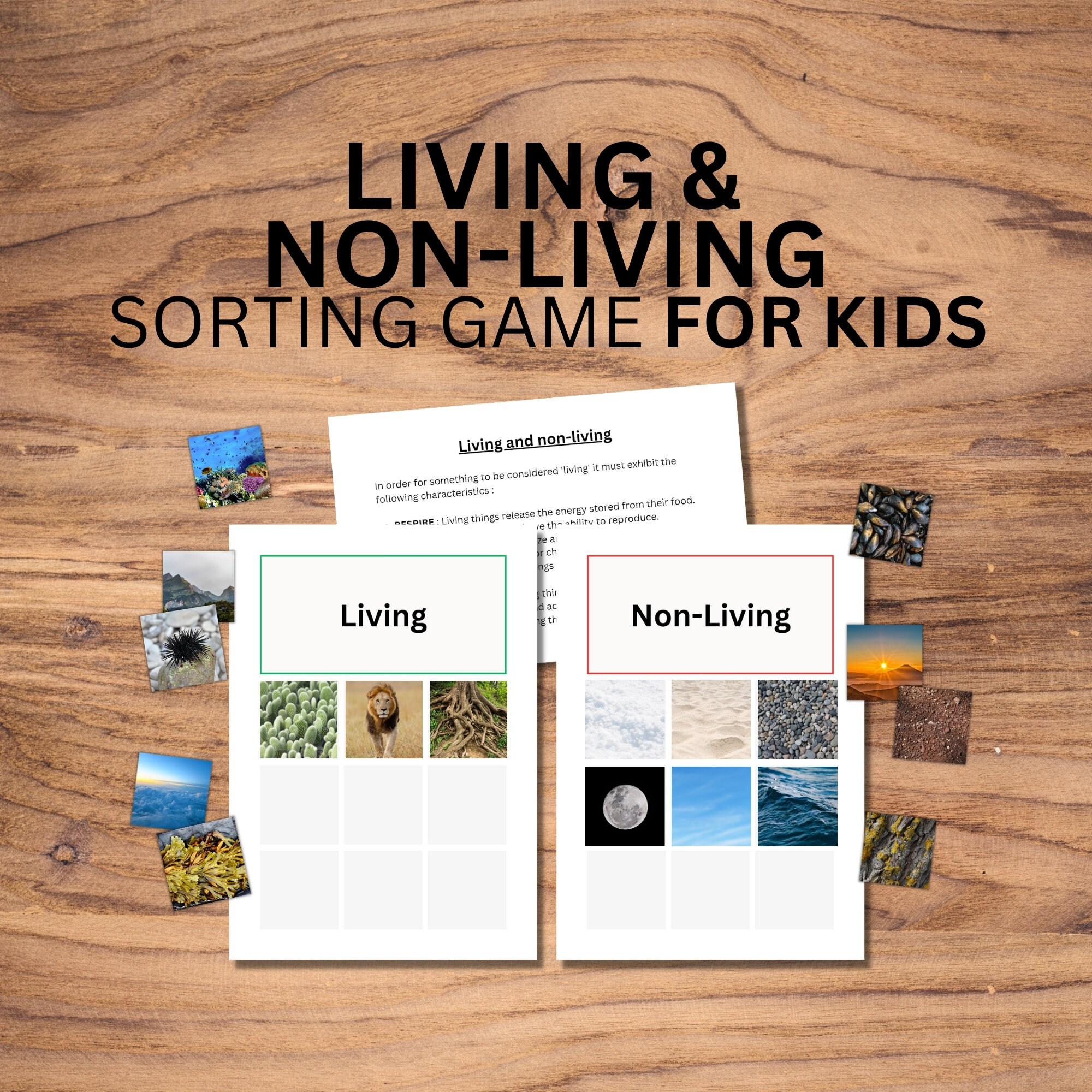 Living and Non-living Sorting Cards, Montessori Sorting Sheet ...