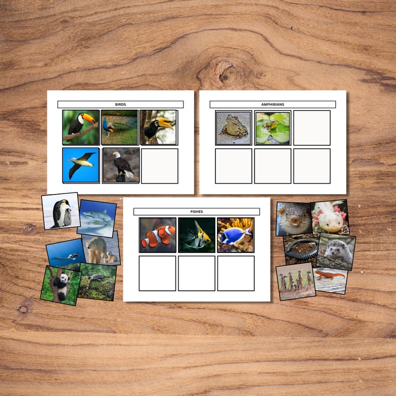 Classes of Vertebrates Sorting Cards and Control Chart, Zoology ...