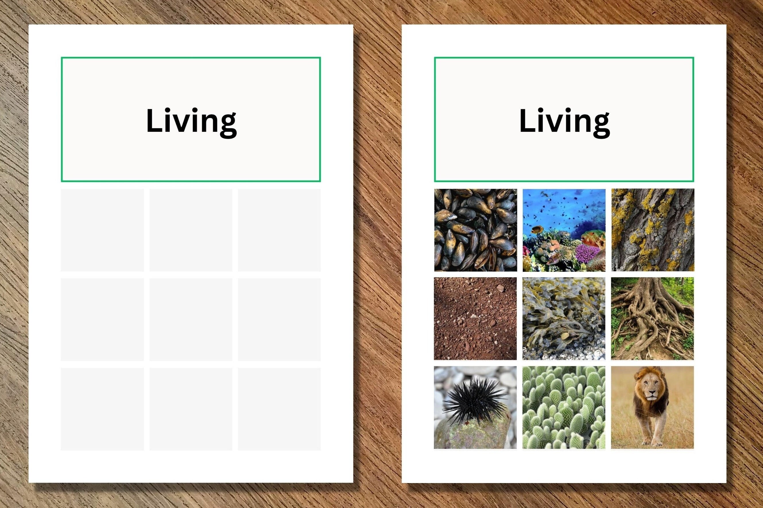 Living and Non-living Sorting Cards, Montessori Sorting Sheet ...