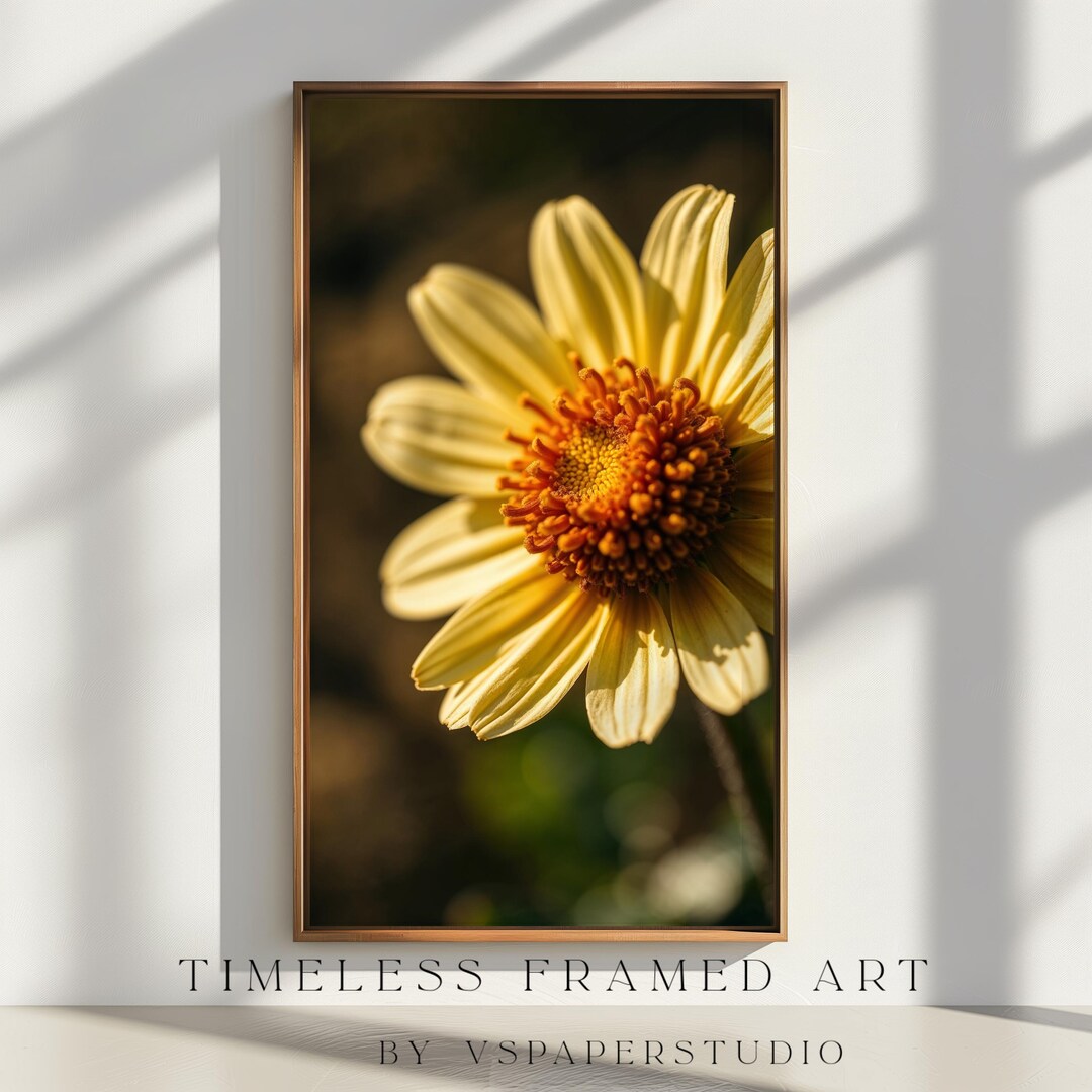 Golden Maisy Daisy - Golden Daisy Flower Canvas, Warm Summer Daisy Art ...