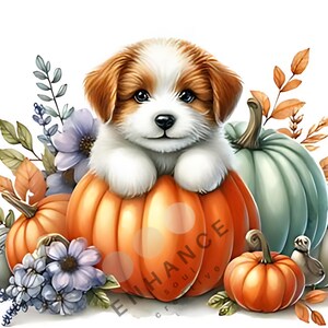Cute Pumpkin and Puppy Png Jpg Pdf, Fall Png, Autumn Png, Halloween Png ...
