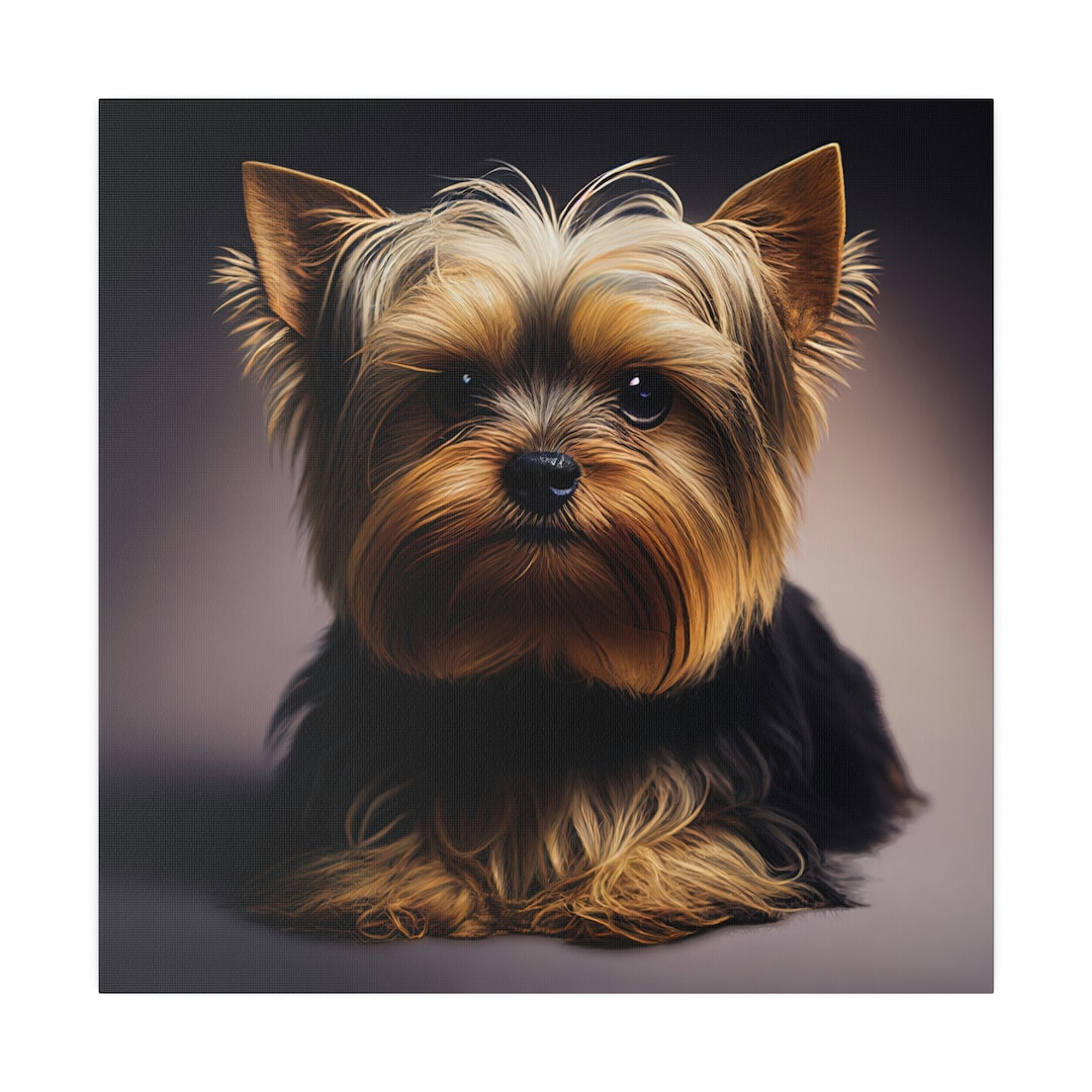 Yorkie Canvas Yorkie Wall Art Yorkie Office Art Yorkie Home Decor Wall ...