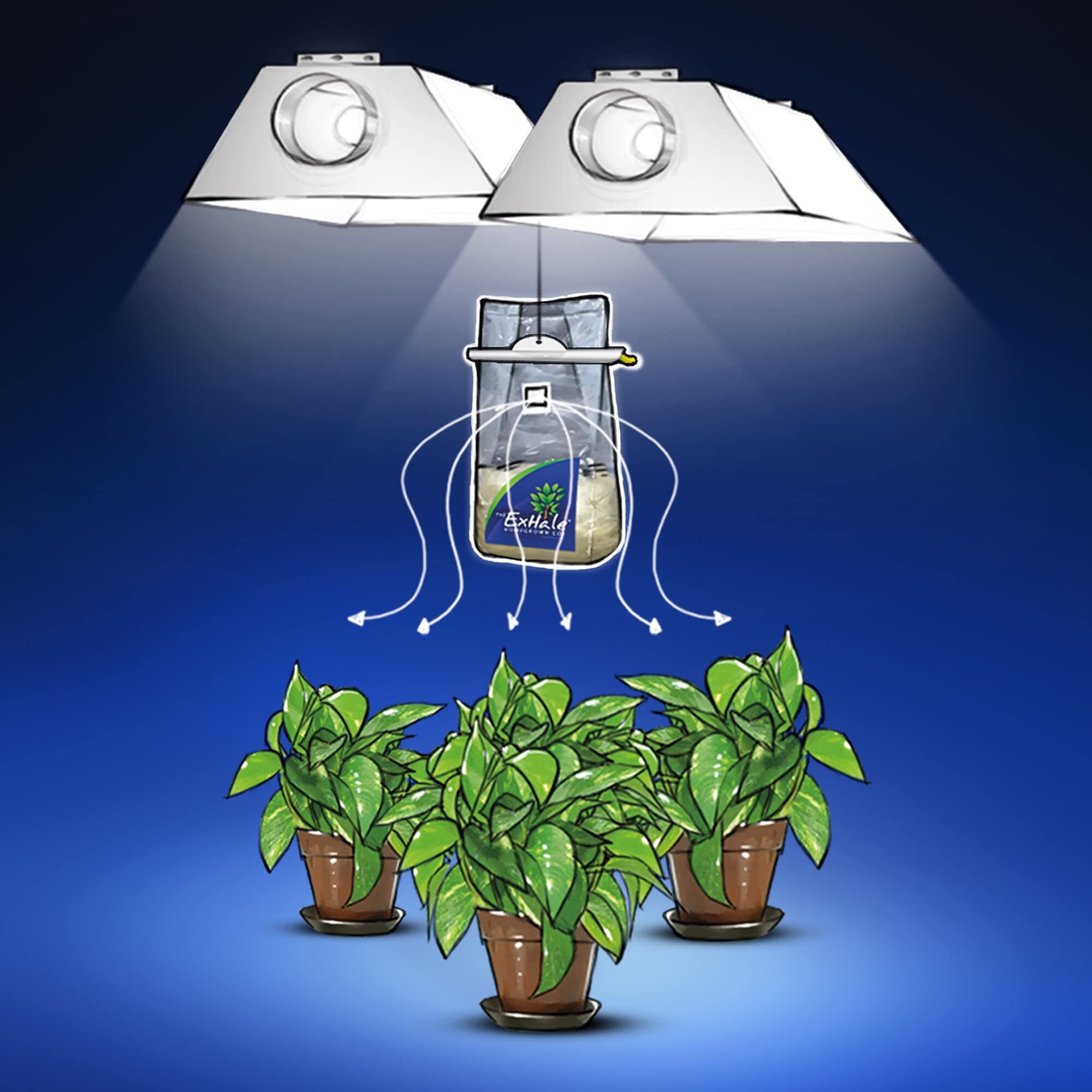 Exhale Homegrown CO2 Original - CO2 Bag for Indoor Grow Rooms & Tents ...